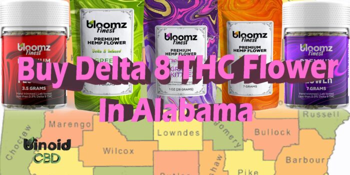 Where To Buy Delta 8 THC Flower In Alabama - Bloomz Hemp