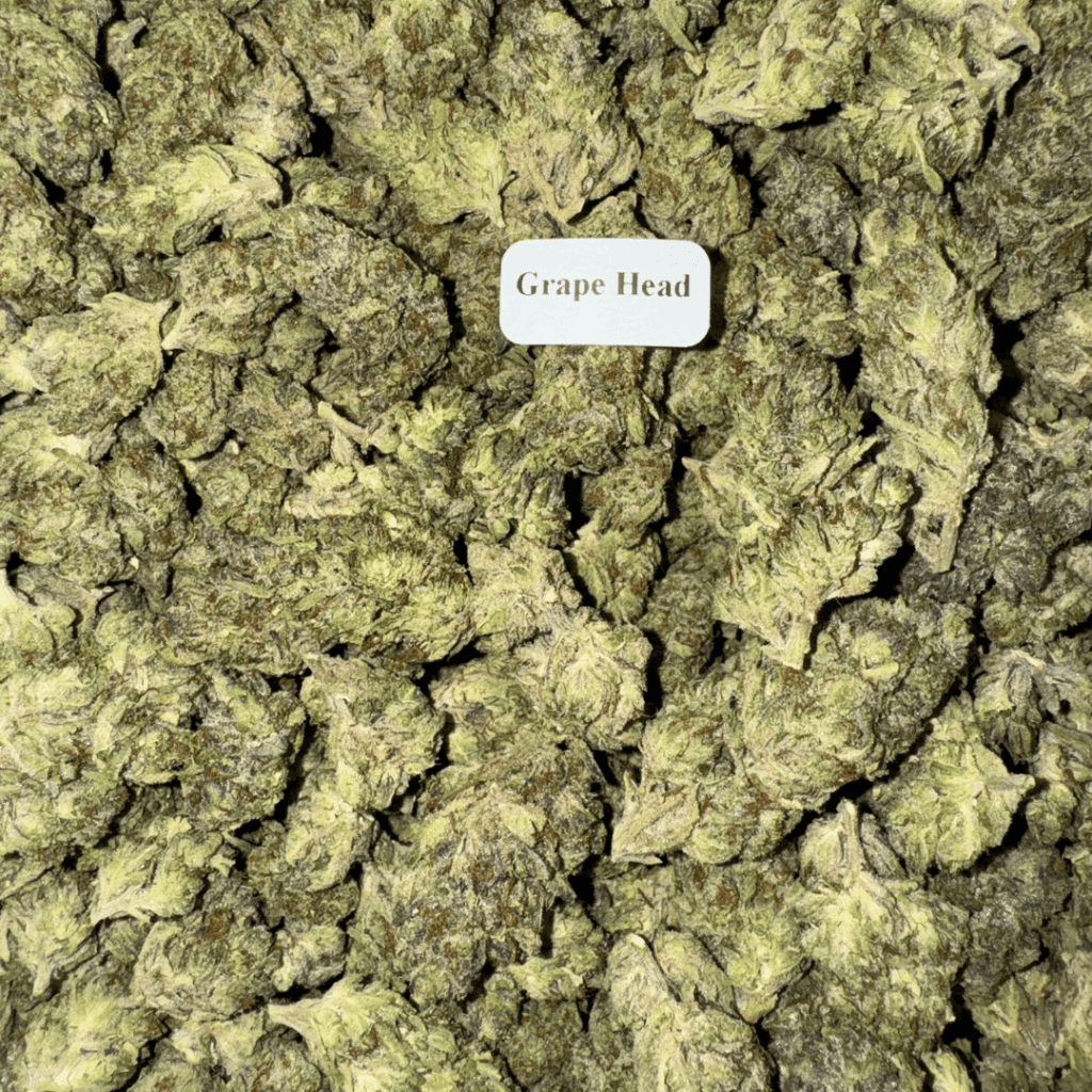 THCA Flower For Sale - Buy THCA Hemp Flower Online