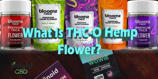 What is THC-O Flower? - Bloomz Hemp