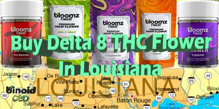 Where To Buy Delta 8 THC Flower In Louisiana - Bloomz Hemp