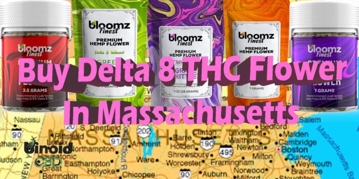 Where To Buy Delta 8 THC Flower In Massachusetts - Bloomz Hemp