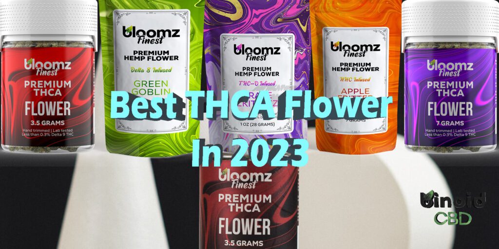 Best THCA Flower Online Review | THCA Hemp Flower - Bloomz Hemp