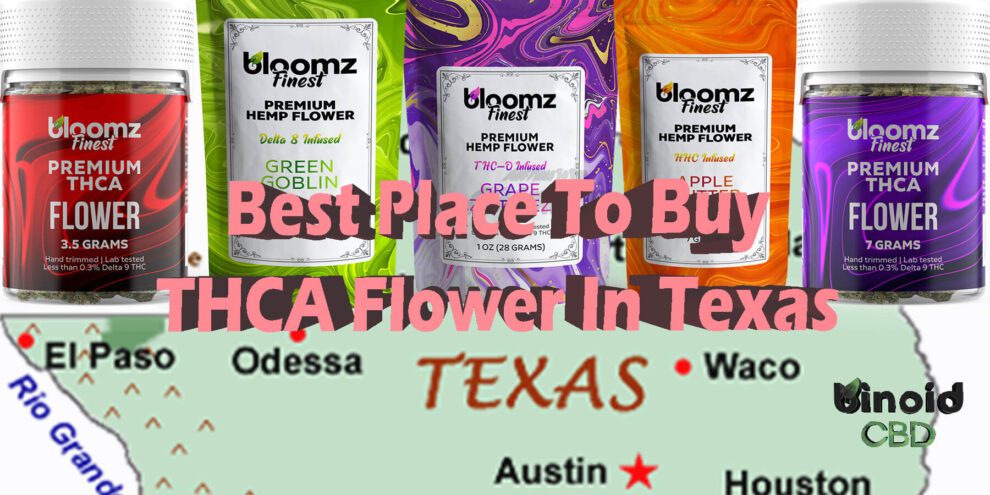 Can THCA Flower Be Shipped to Texas? Legality Updates