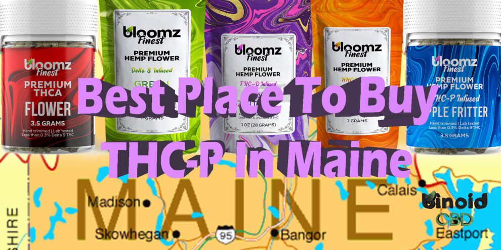 Where To Buy THC-P Flower In Maine - Bloomz Hemp