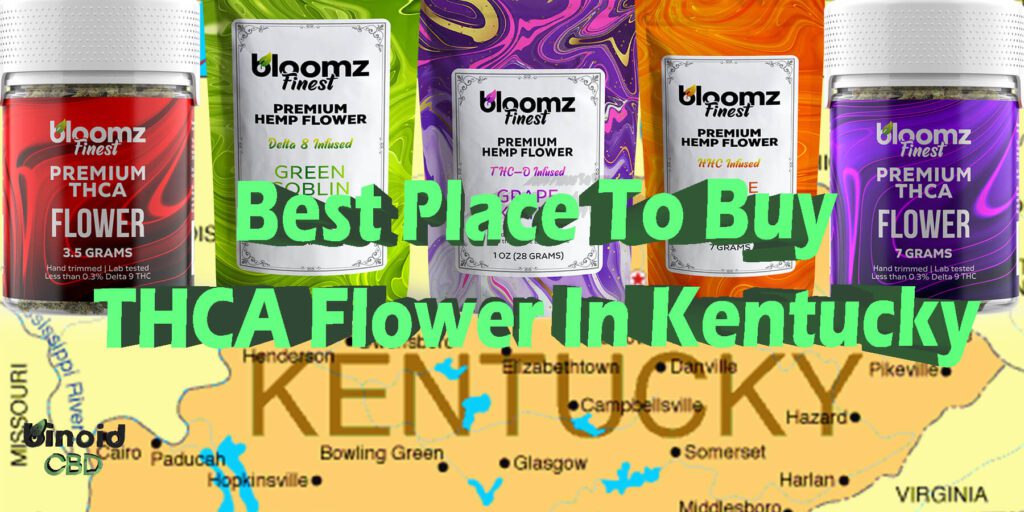 Where To Buy THCA Flower In Kentucky | THCA Hemp Flower
