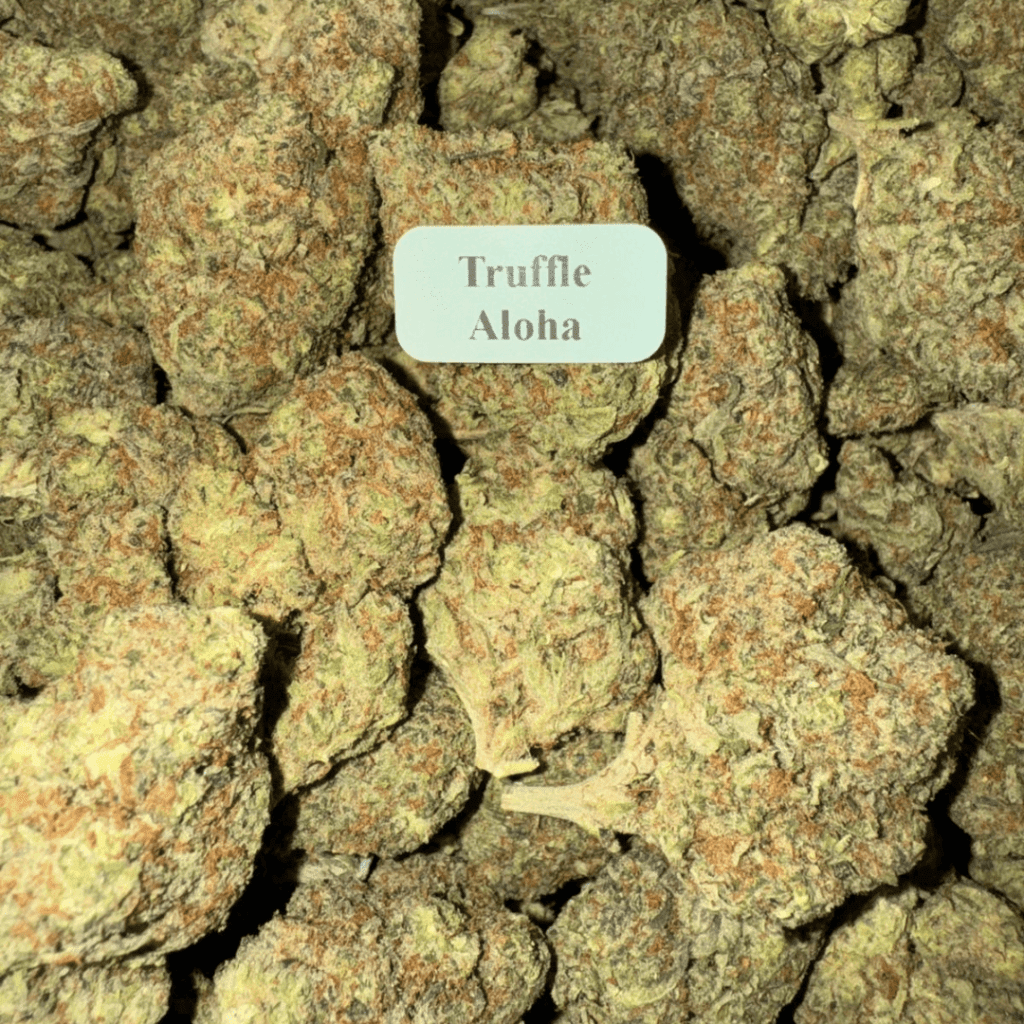 THCA Flower - Exotics - Gold Line