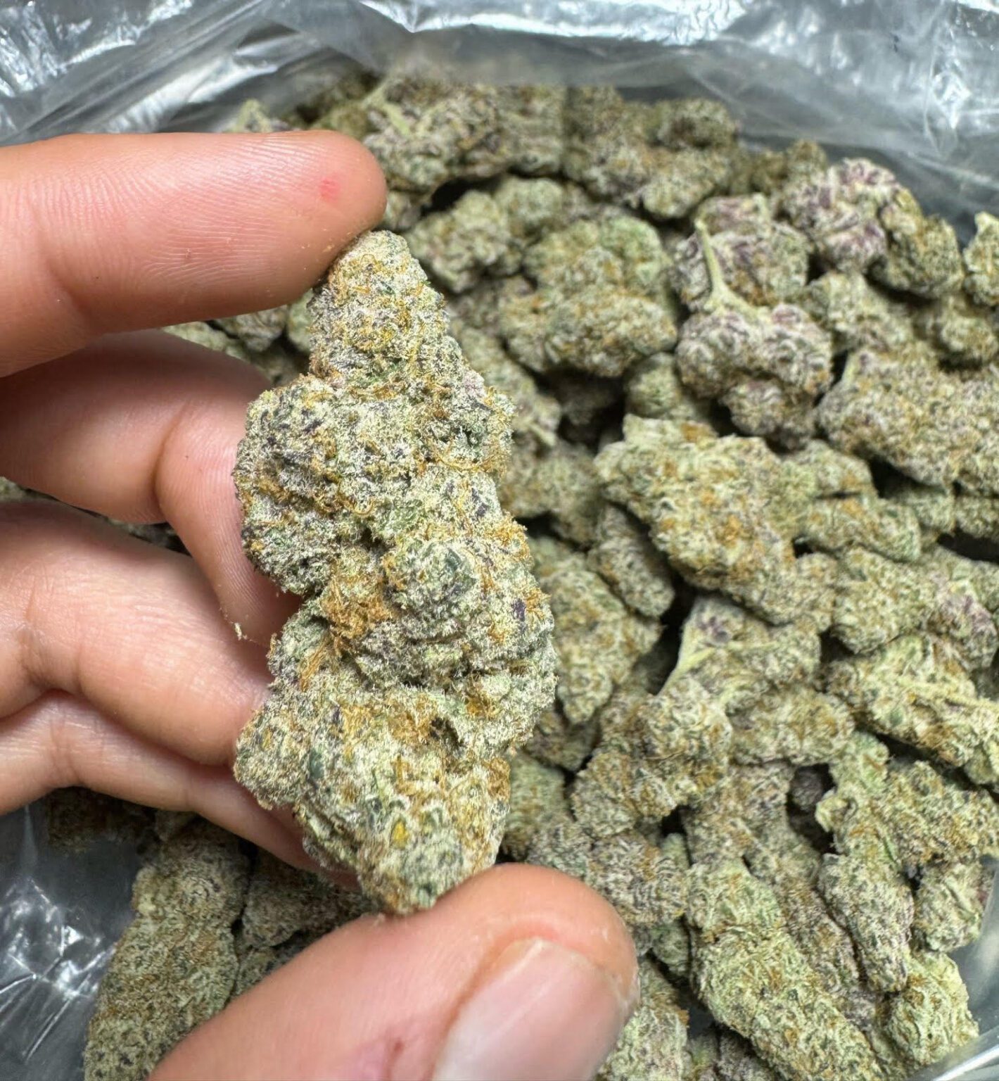 Exotic THCA Pre-Rolls Online | Shop THCA Exotic Pre-Rolls