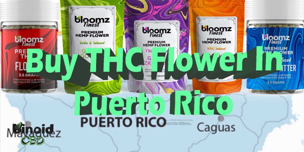 Where To Buy THC Flower In Puerto Rico | THC Hemp Flower