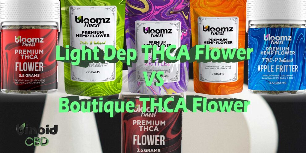 Light Dep THCA Flower vs. Boutique THCA Flower | Bloomz Hemp