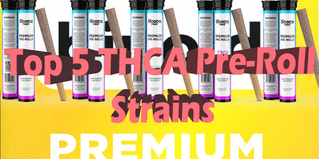 Top 5 THCA Pre-Roll Strains of 2025: Top Strains Ranked