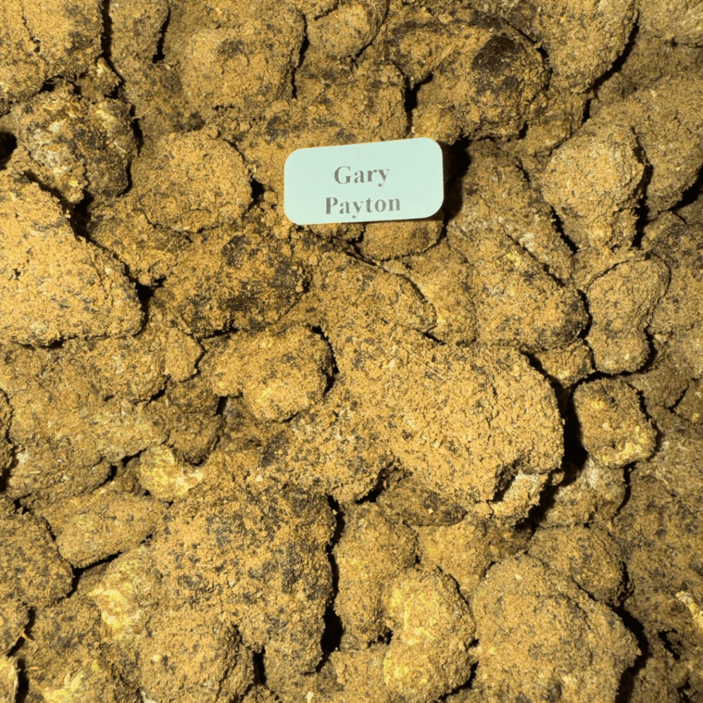 THCA Moonrocks | Buy Exotic THCA Moonrocks | 3.5G & 7G