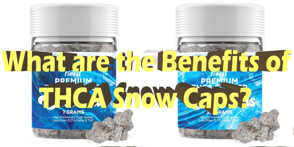 THCA Snow Caps: Benefits, Effects and Uses