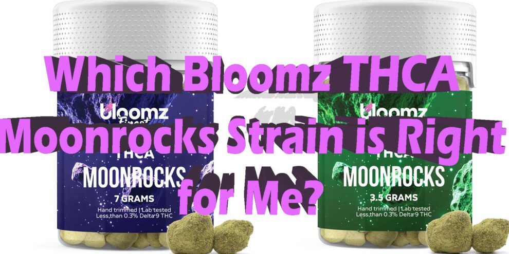Which THCA Moonrocks Strain Is Best From Bloomz?
