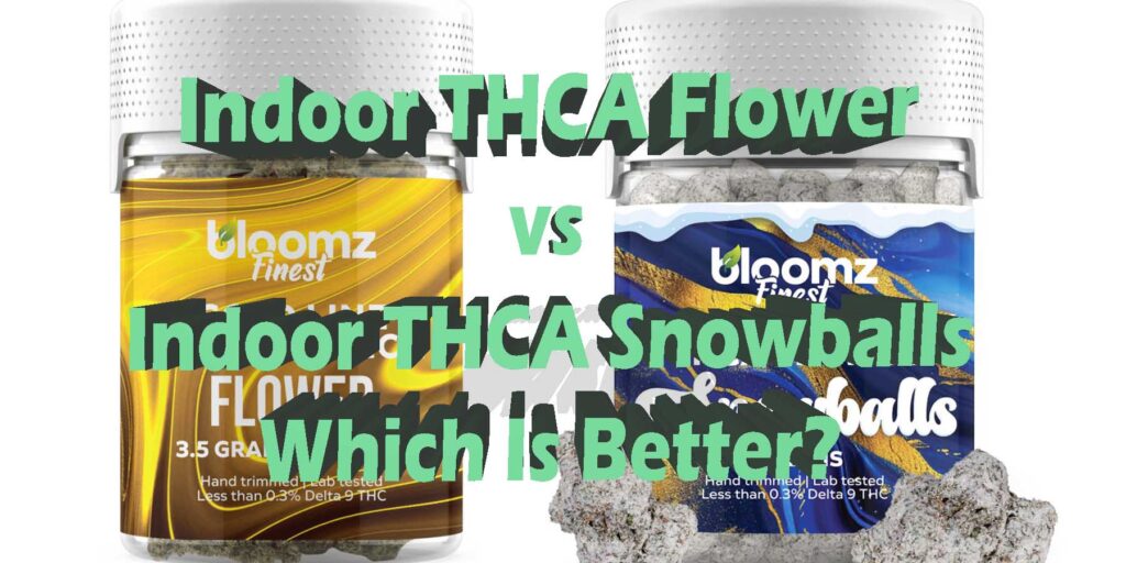 Indoor THCA Flower vs. Indoor THCA Snowballs: Which Is Better? Indoor THCA Flower vs. Indoor THCA Snowballs: Which Is Better?