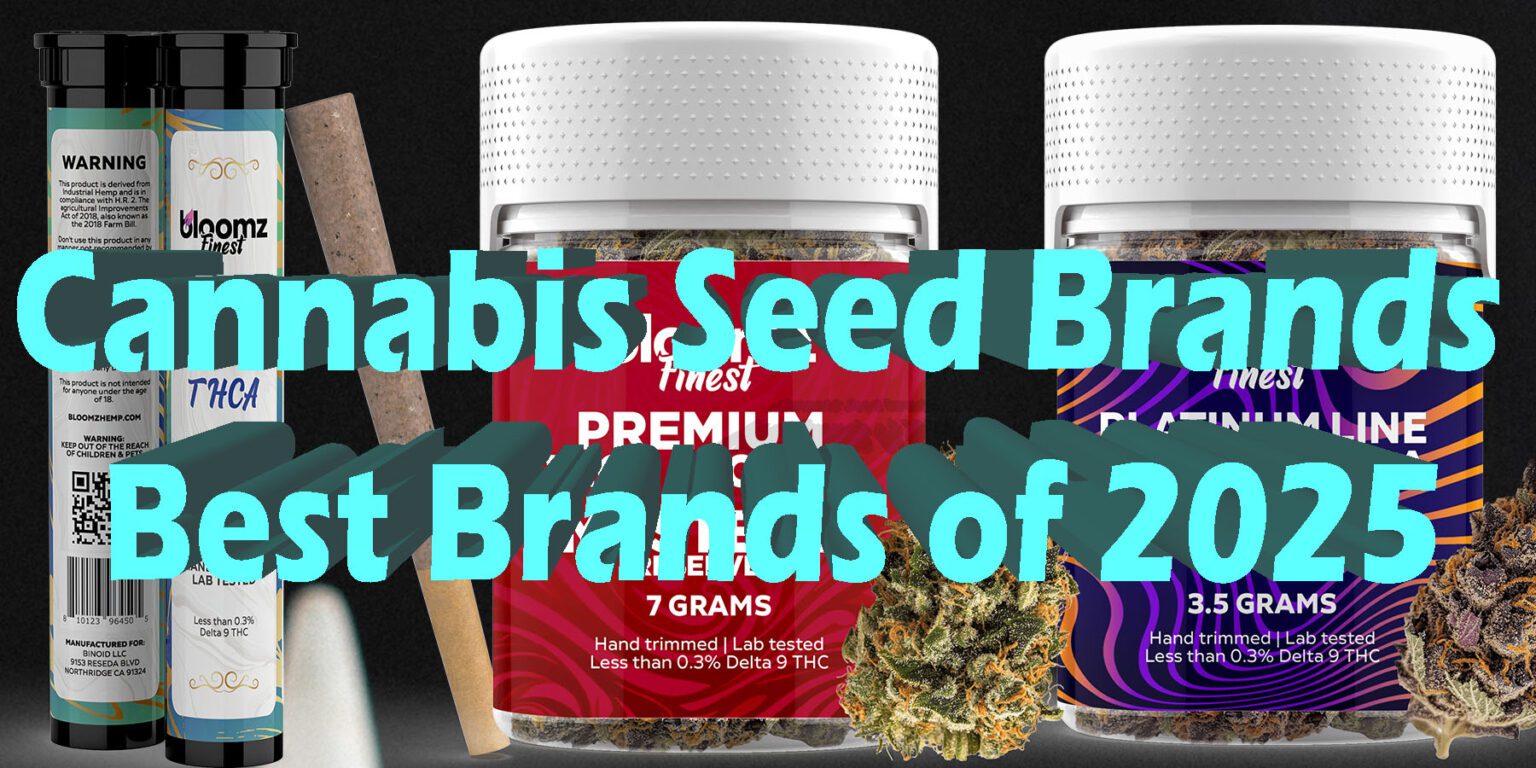 5 Best Cannabis Flower Brands of 2026: Tested and Reviewed