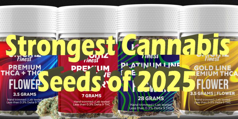10 Strongest Cannabis Seeds and Strains of 2025