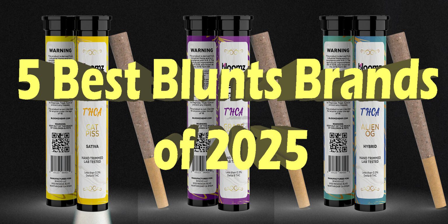 5 Best Blunts of 2025: Tested & Reviewed