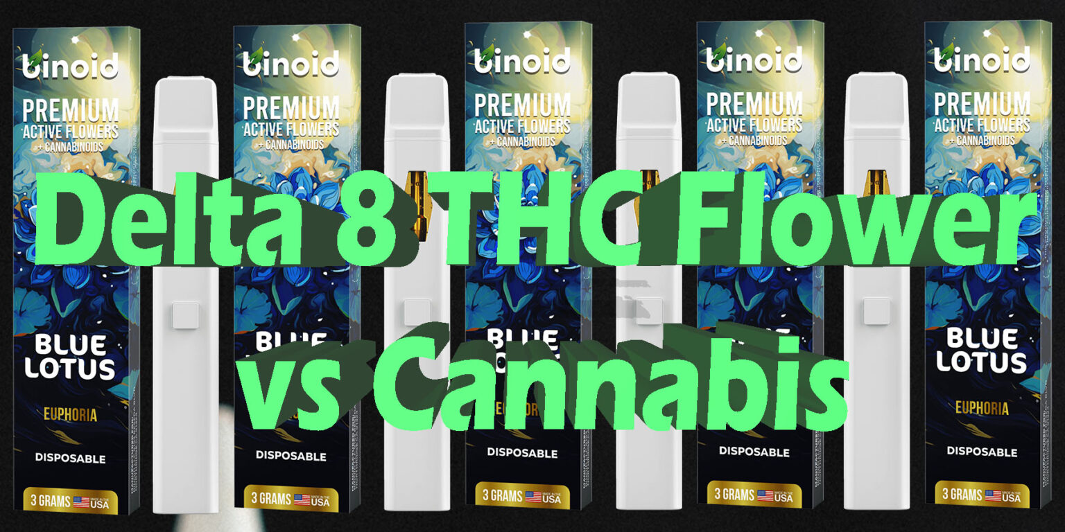 Delta 8 Flower vs Cannabis: Key Differences Explained