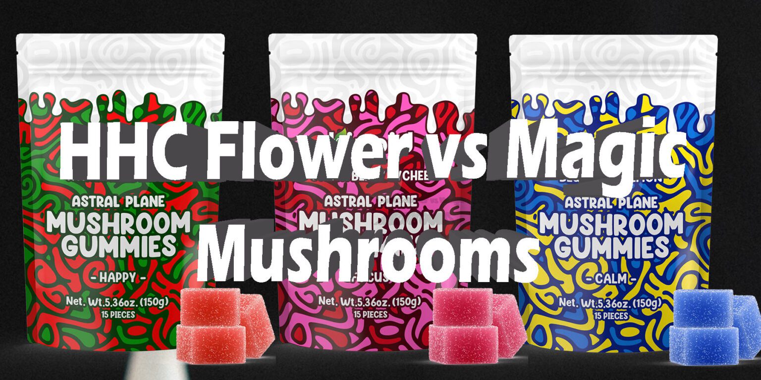 HHC Flower vs Magic Mushrooms: Differences Explained