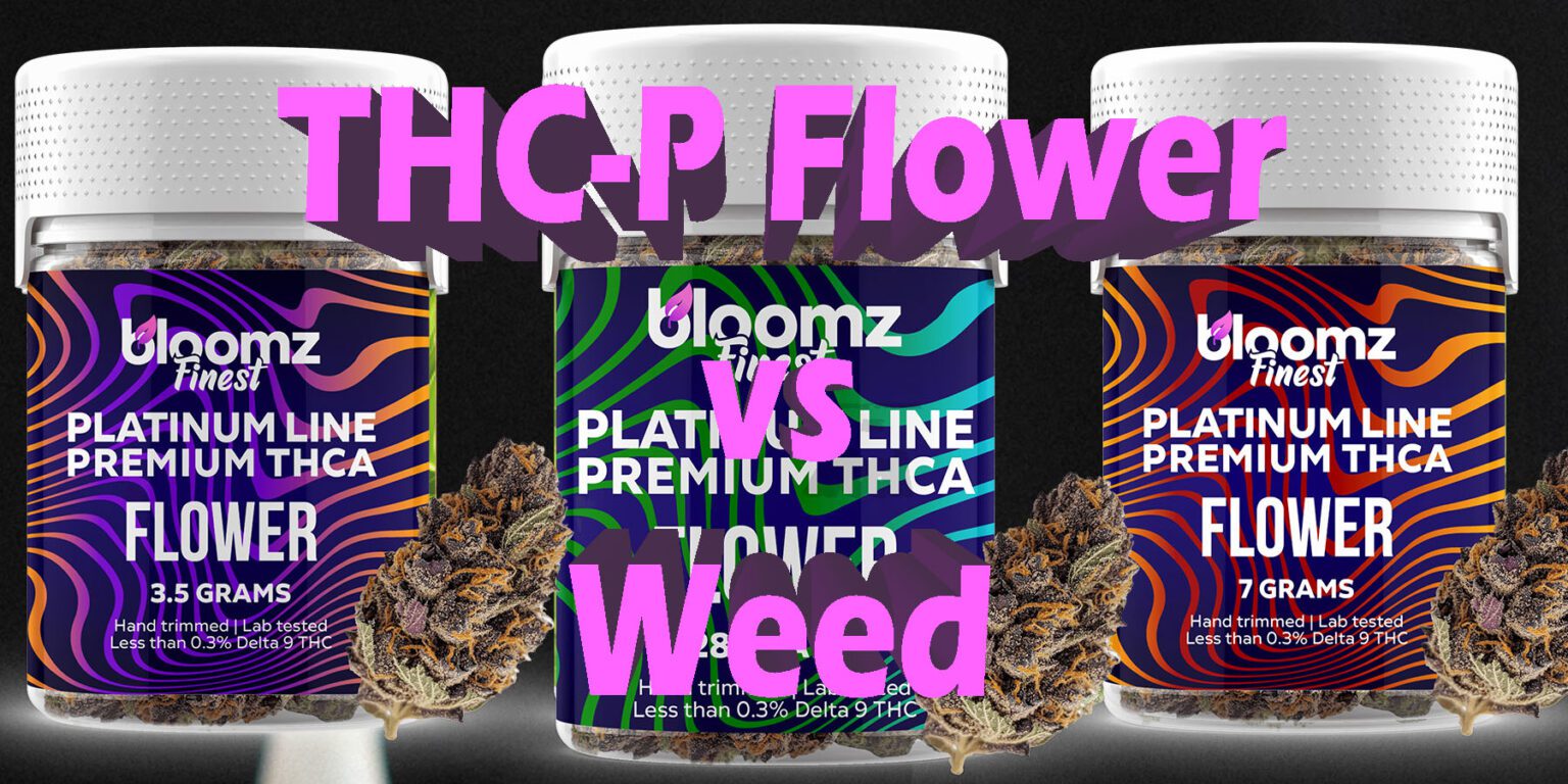 THC-P Flower vs Weed: Key Differences Explained