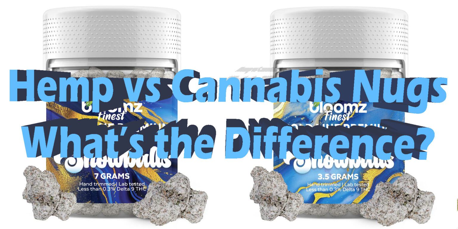 Hemp vs Cannabis Nugs: What’s the Difference?