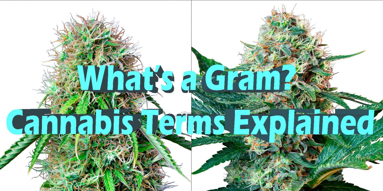 What’s a Gram? Cannabis Term Explained